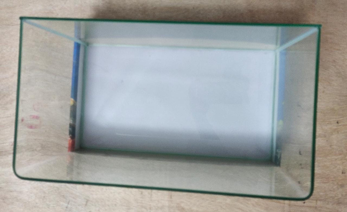 Fish Tanks – Splashy Fin Aquarium Bengaluru