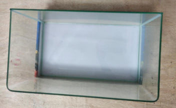 Fish Tanks – Splashy Fin Aquarium Bengaluru